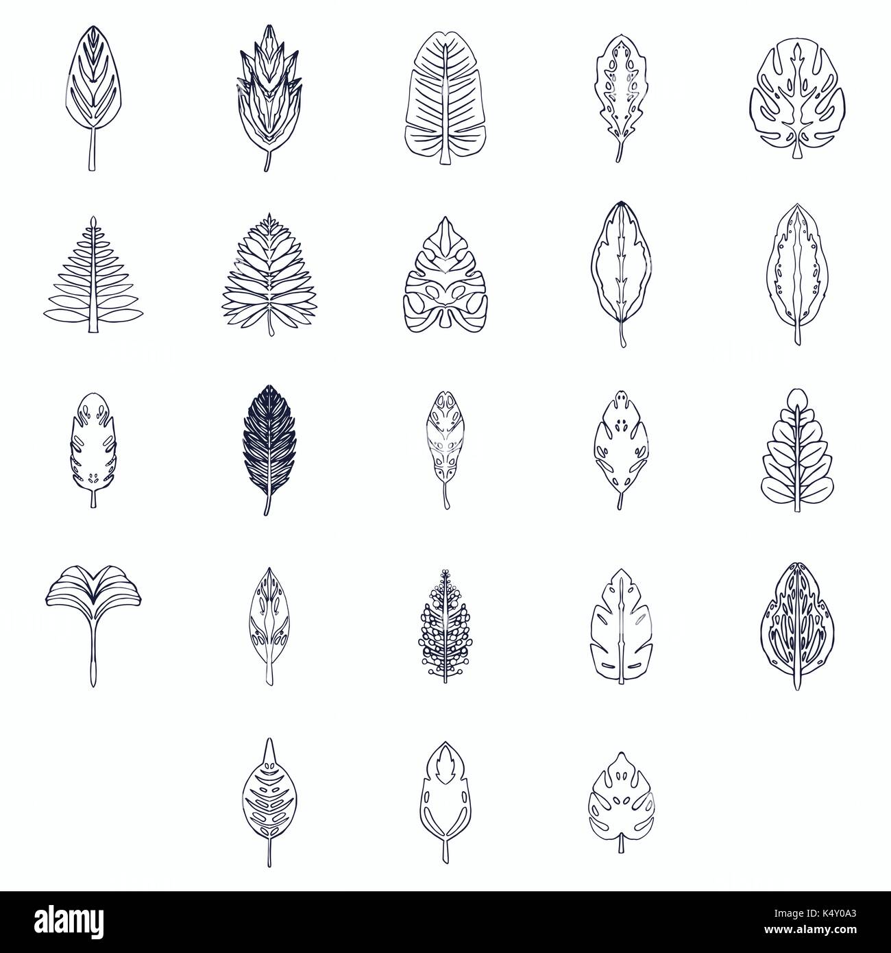 Vector icon of various outline leaves Stock Vector Image & Art - Alamy