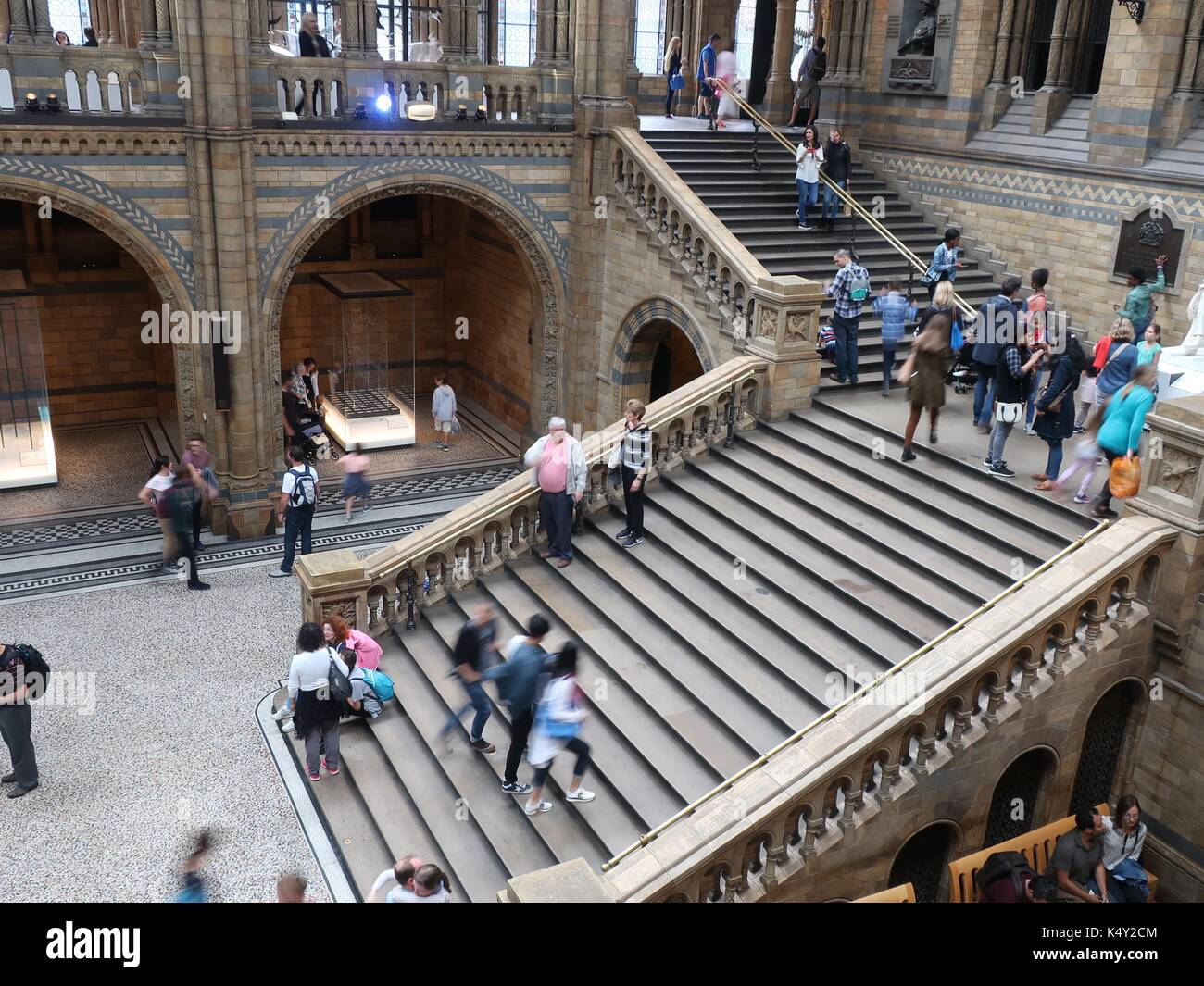 Inside natural history museum hi-res stock photography and images - Alamy