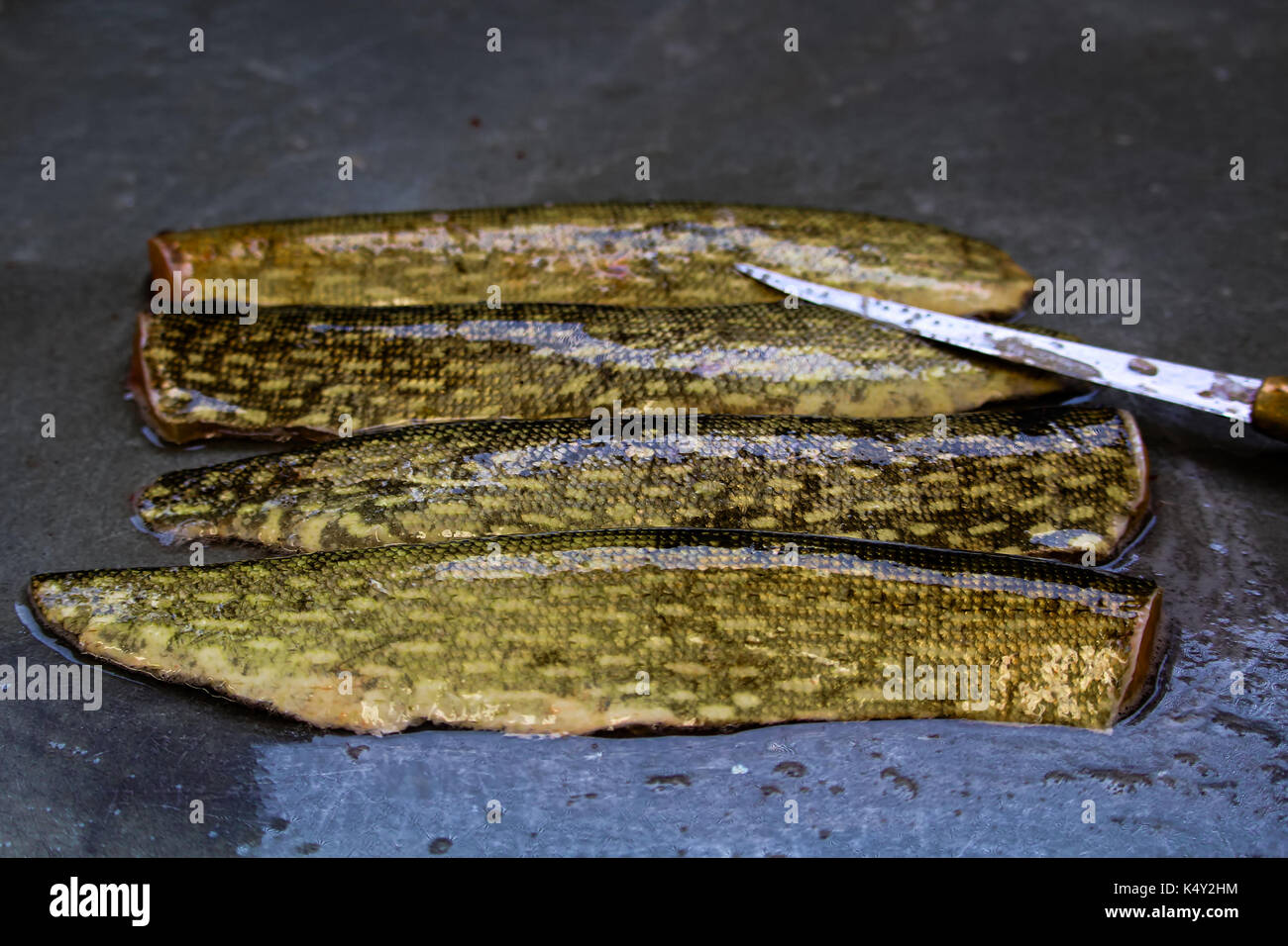 Pike scales hi-res stock photography and images - Alamy