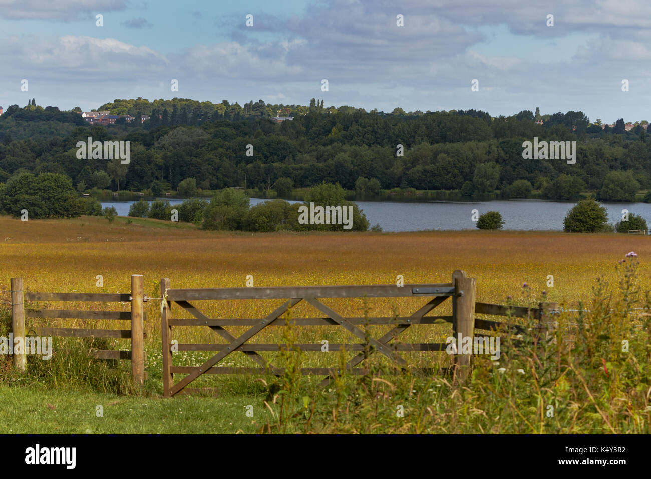 View of a farm gate leading into countryside Stock Photo - Alamy