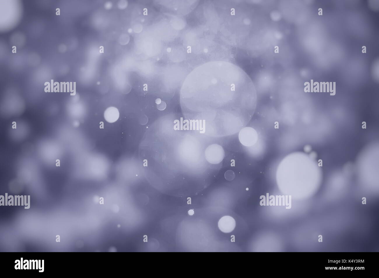 colorful crowd on concert,disco night Stock Photo - Alamy