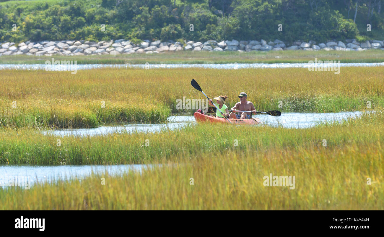 Marsh grass cape cod hi-res stock photography and images - Alamy