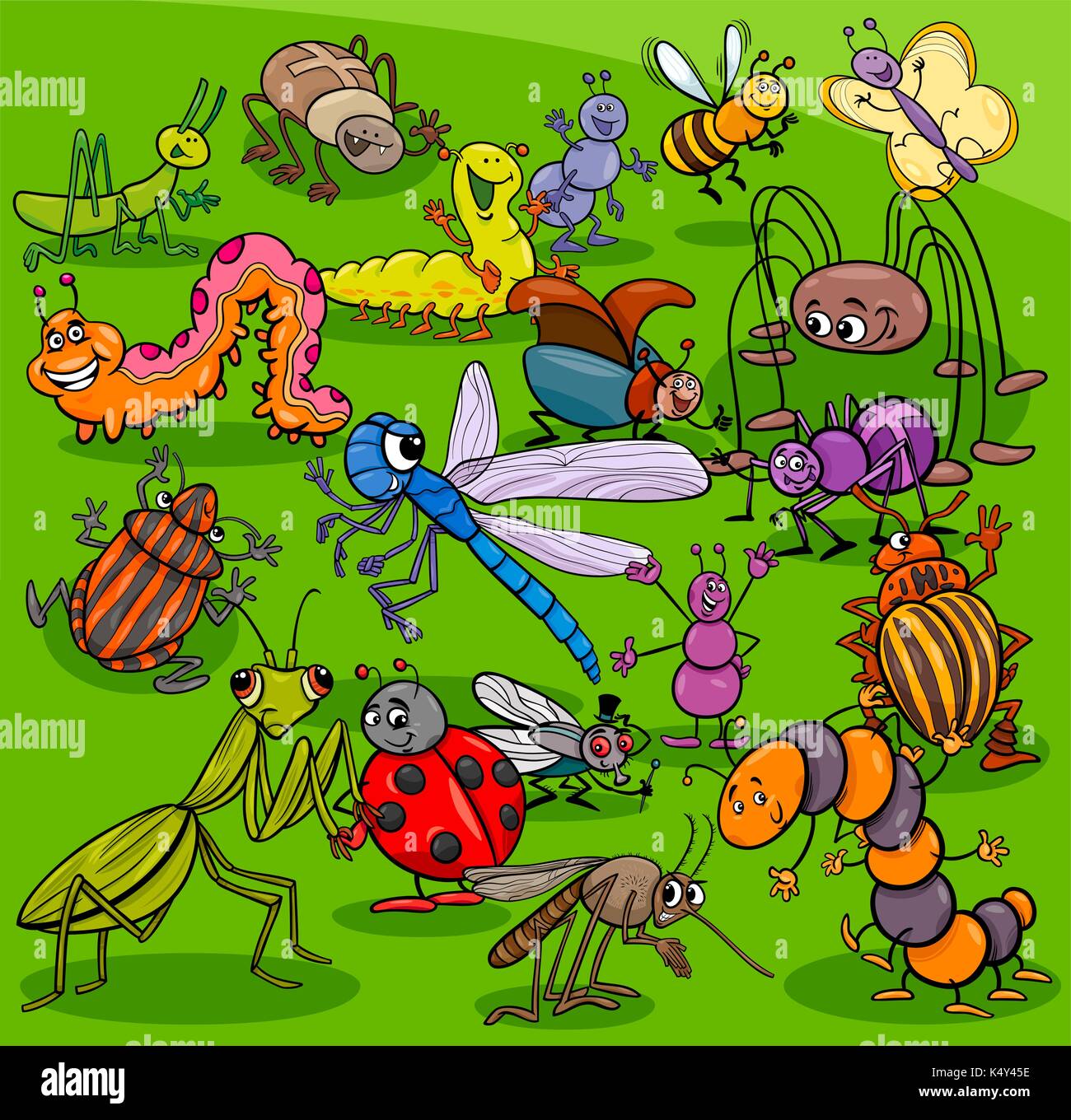Cartoon Illustration of Insects and Bugs Animal Characters Group Stock ...