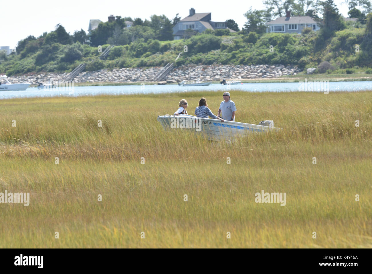 Marsh grass cape cod hi-res stock photography and images - Alamy