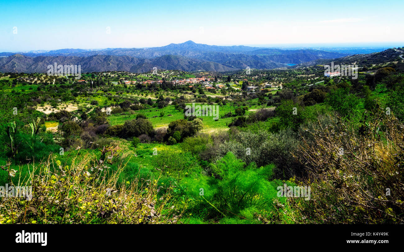 White river cyprus hi-res stock photography and images - Alamy