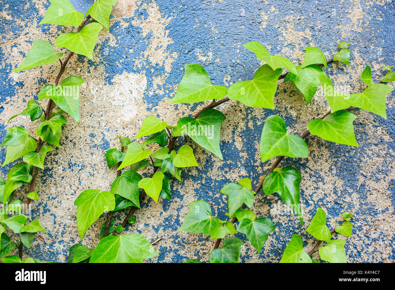 Textured wall fragment Stock Photo - Alamy