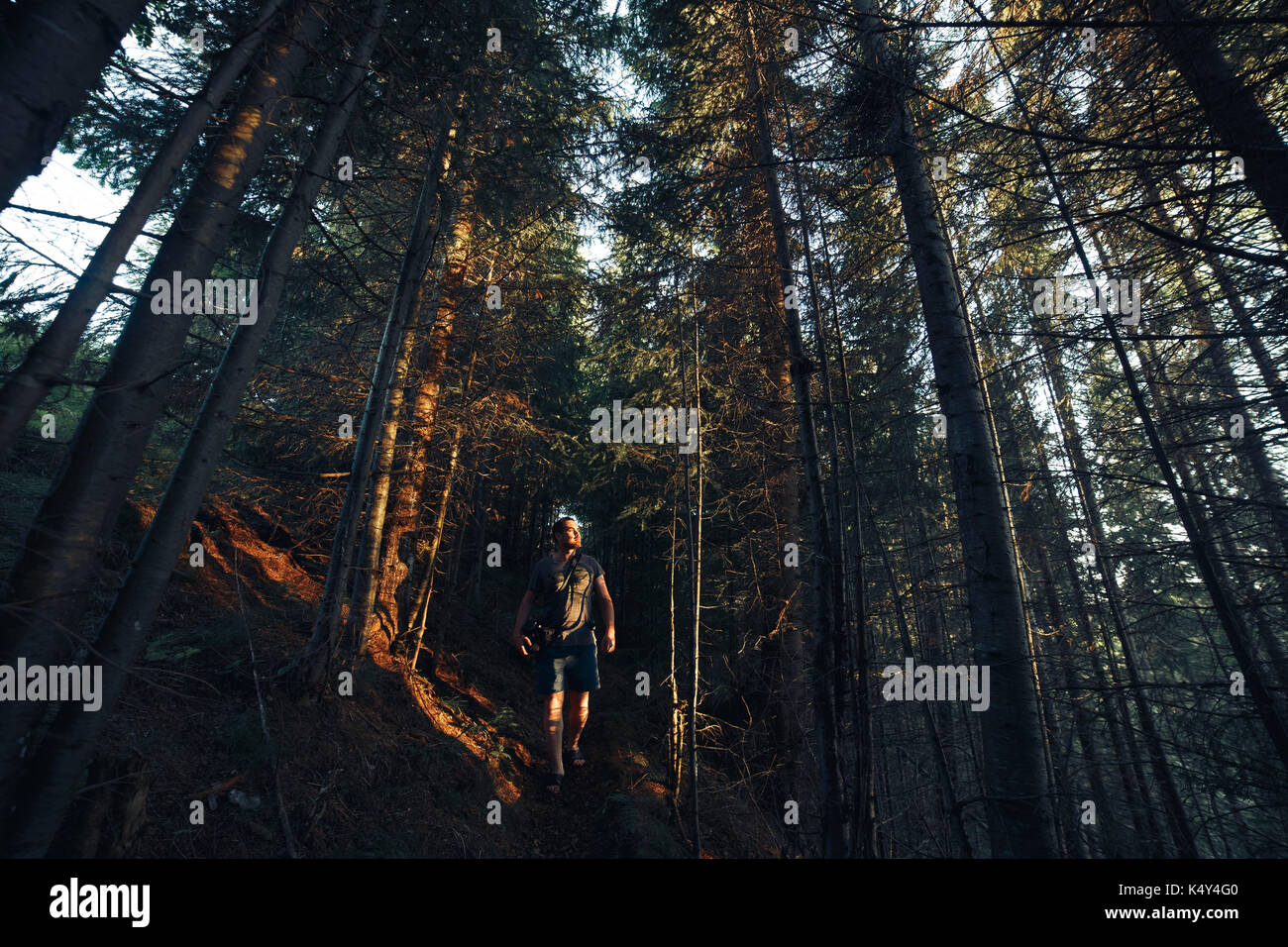 Hiking man in rain forest hi-res stock photography and images - Alamy