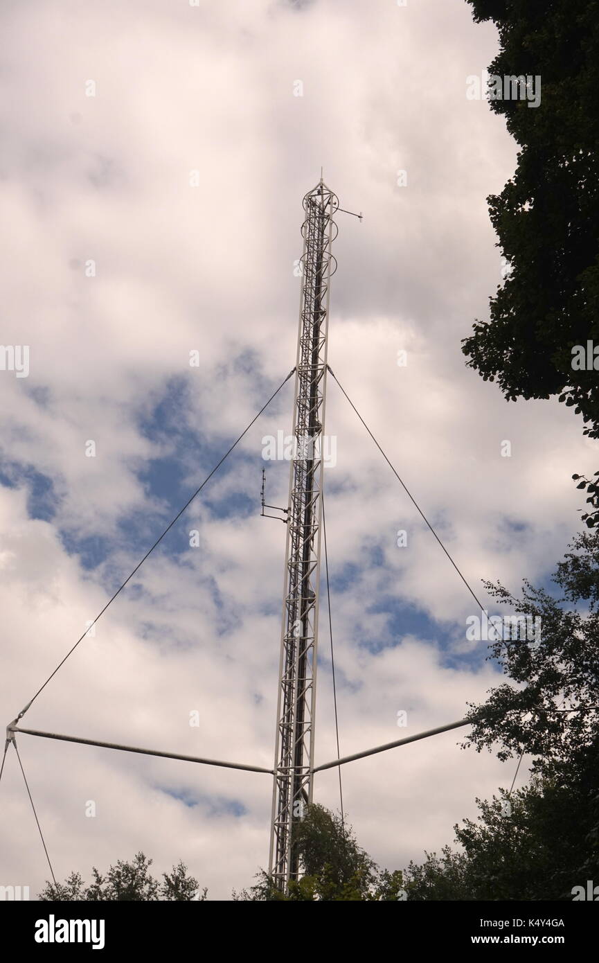 Phone mast trees hi-res stock photography and images - Alamy
