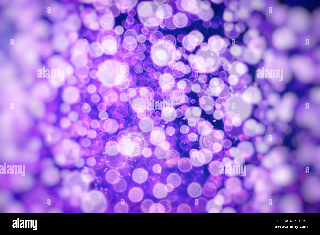 colorful crowd on concert,disco night Stock Photo - Alamy