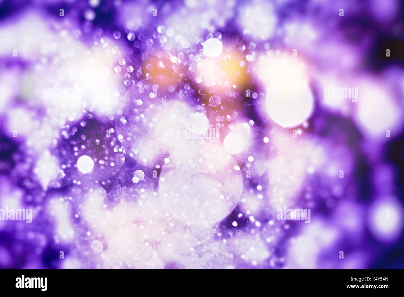 colorful crowd on concert,disco night Stock Photo - Alamy