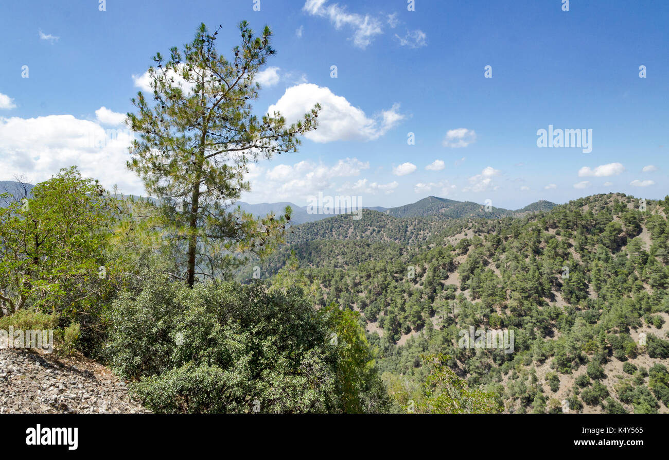 Mountains and forests in Cyprus Stock Photo - Alamy