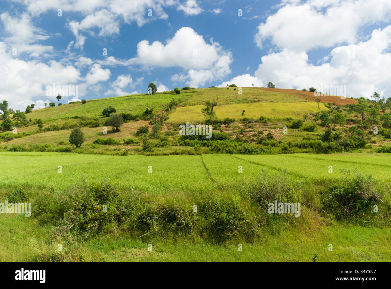 Landscape of farmland, Shan State, Burma, Myanmar, South East Asia ...