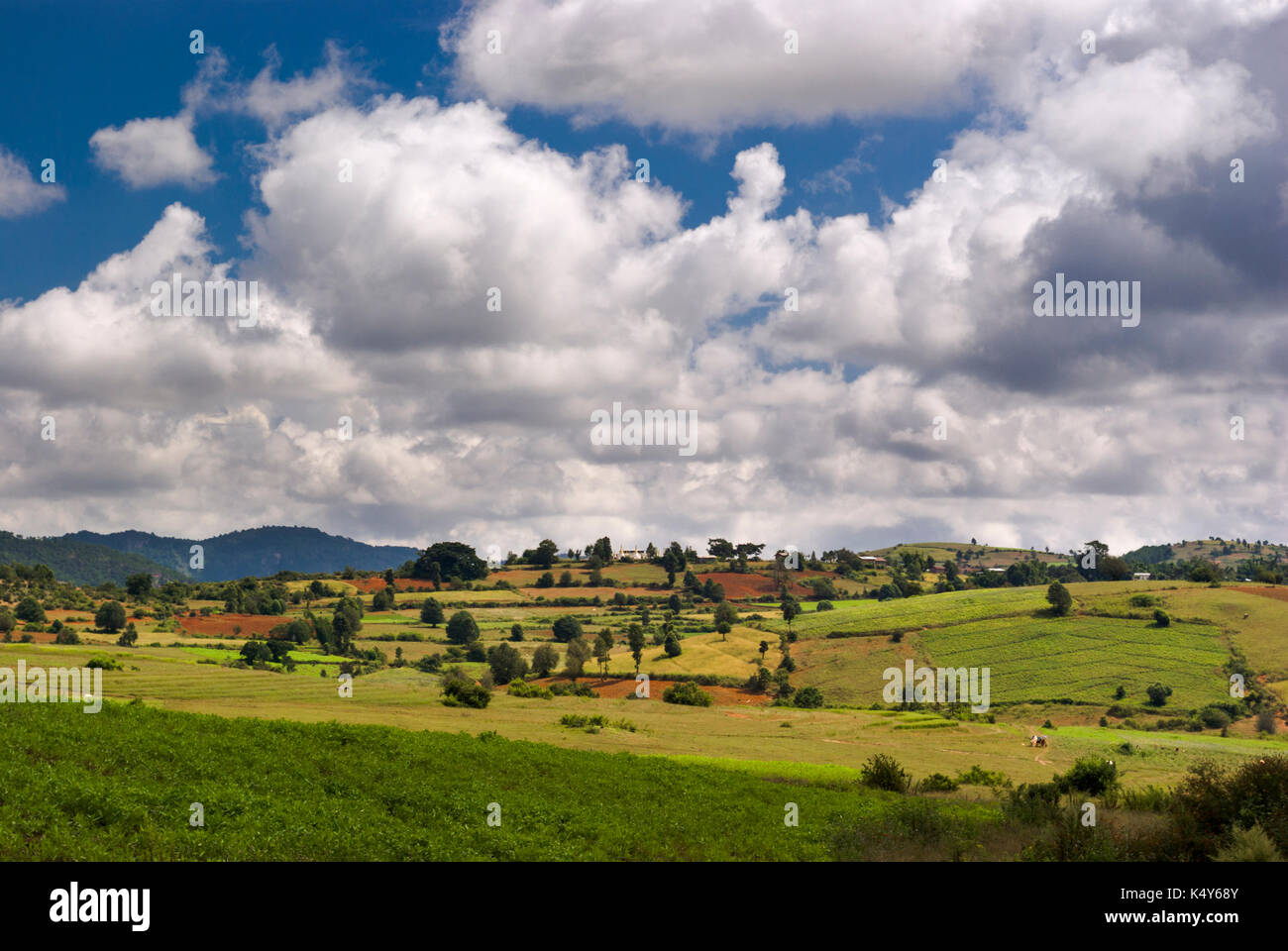 Landscape of farmland, Shan State, Burma, Myanmar, South East Asia ...