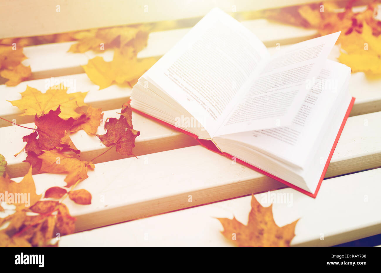 Open book on bench in hi-res stock photography and images - Alamy
