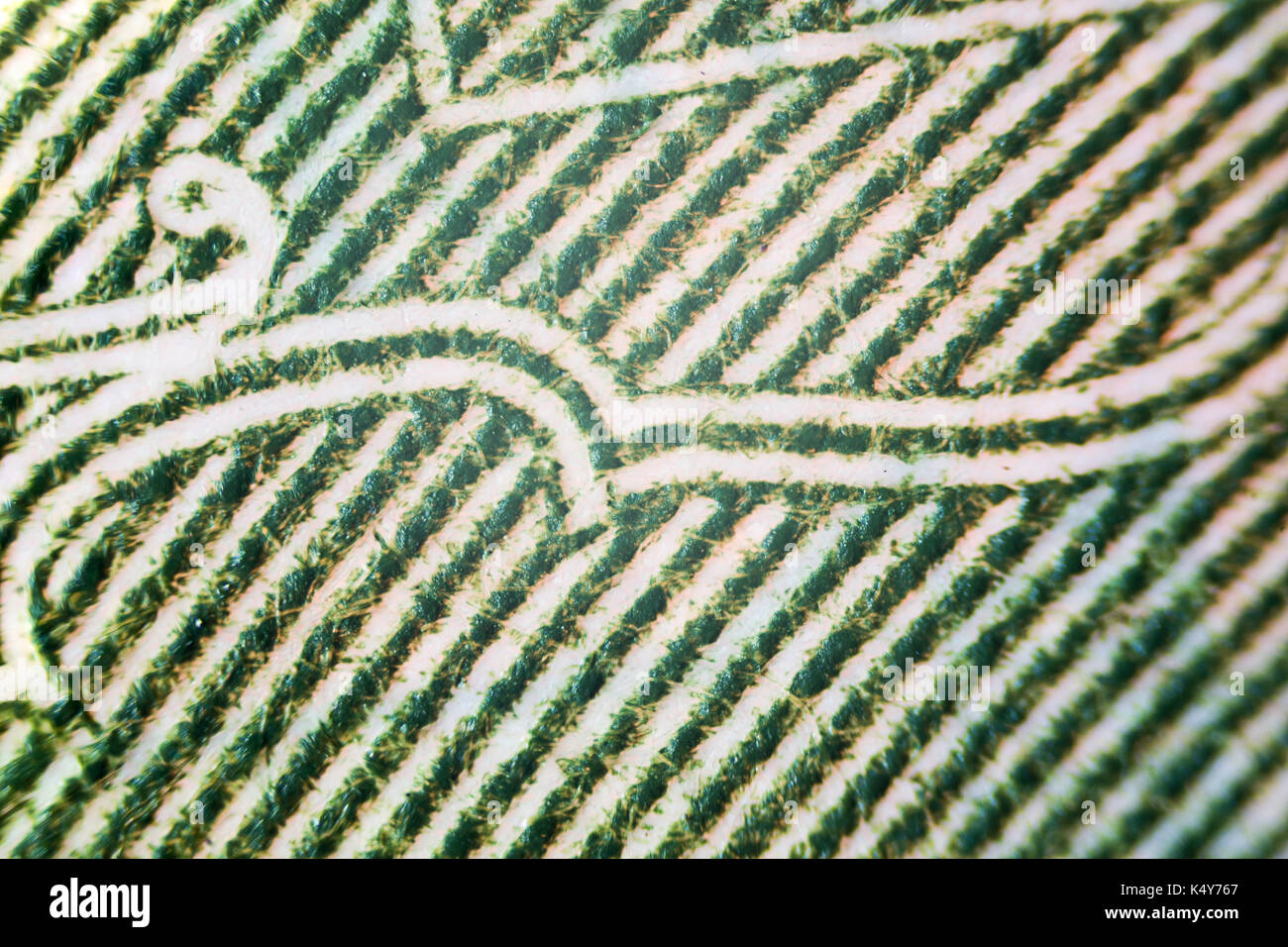 Paper under microscope hi-res stock photography and images - Alamy