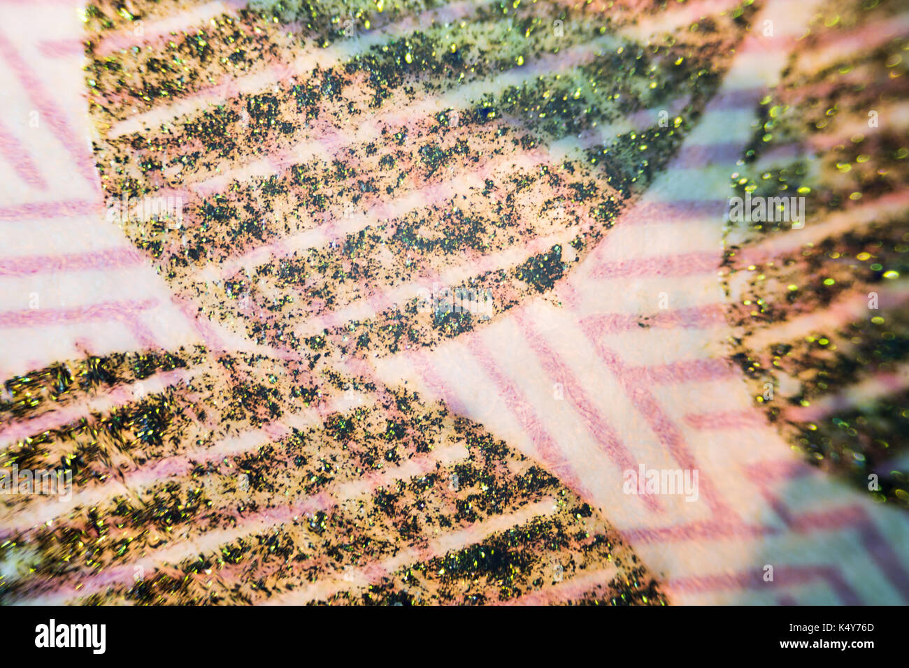 USA money under a microscope partially out of focus, focus point on ...