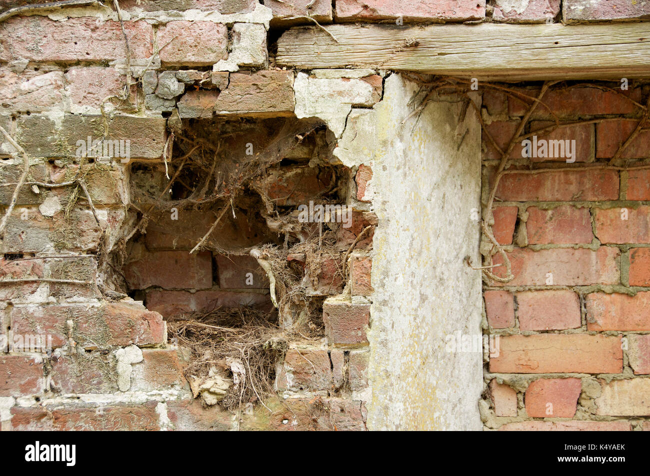 Crumbling brickwork hi-res stock photography and images - Alamy