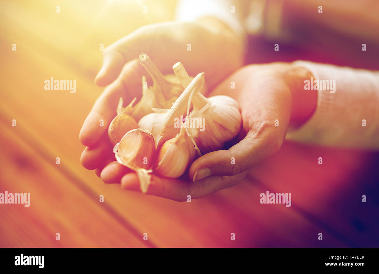 woman hands holding garlic Stock Photo - Alamy