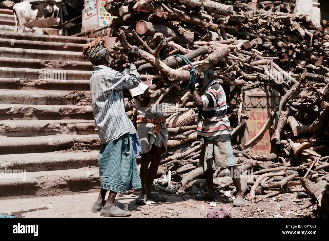 Collecting wood hi-res stock photography and images - Alamy