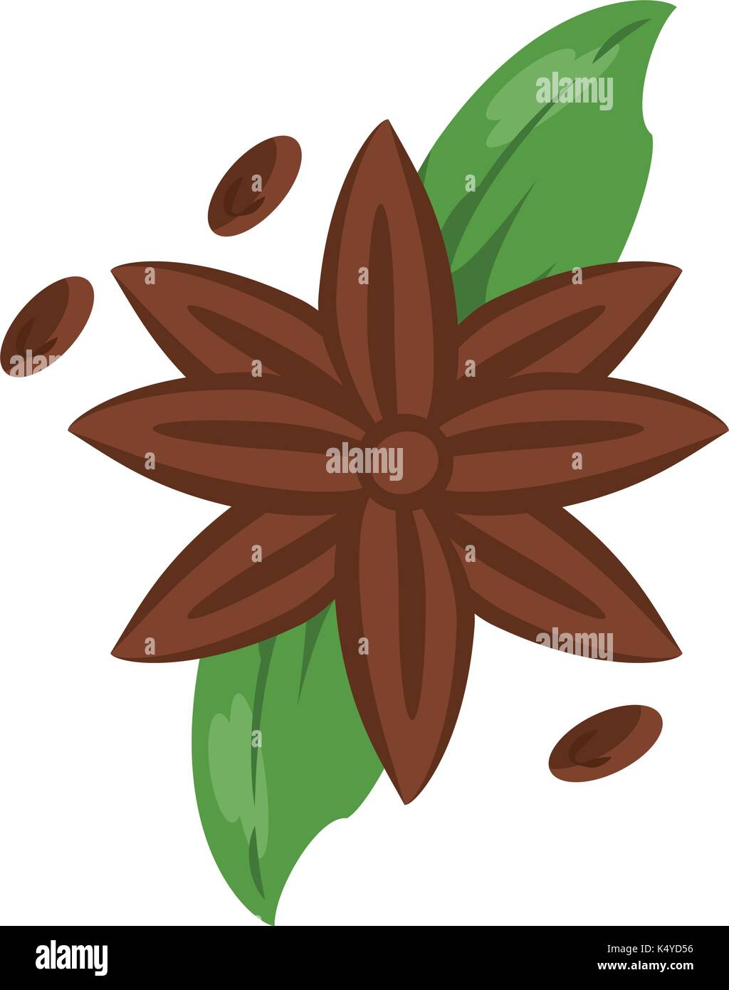 Aniseed plant Stock Vector Images - Alamy