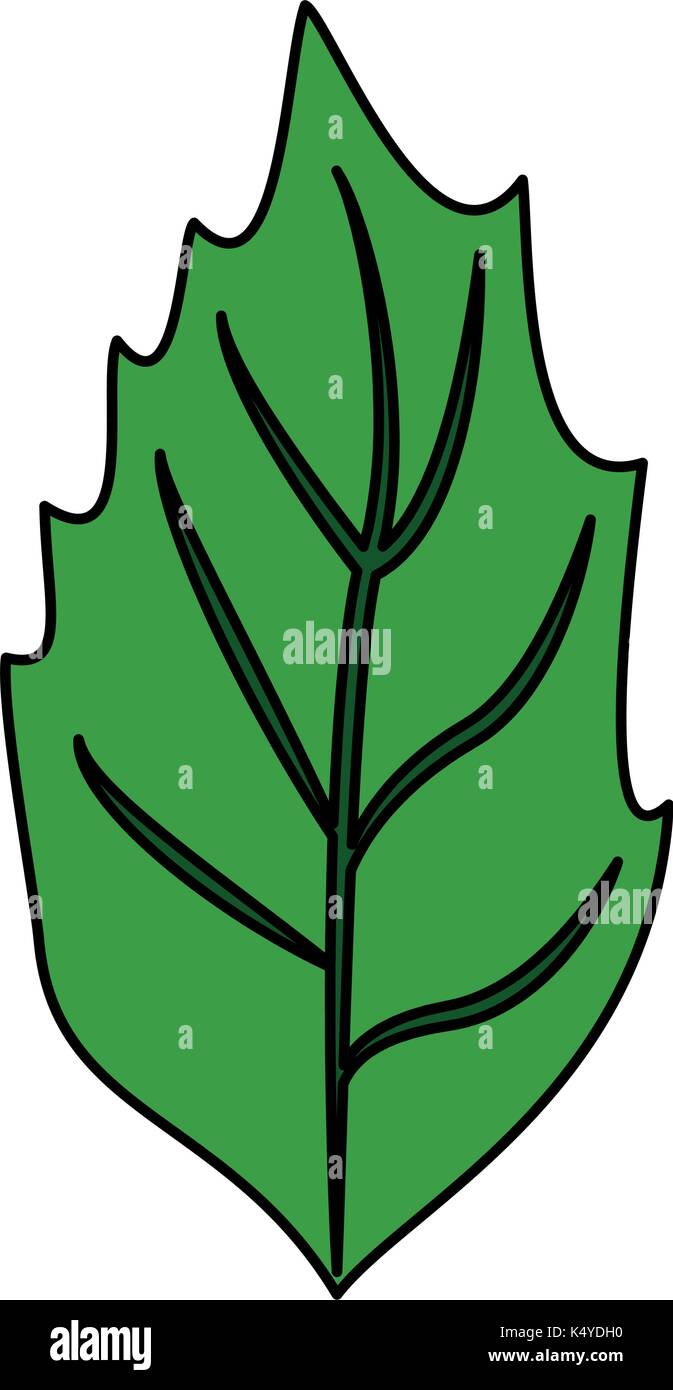 leaf icon image Stock Vector Image & Art - Alamy