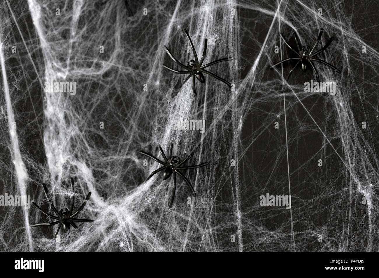 halloween decoration of black toy spiders on web Stock Photo - Alamy