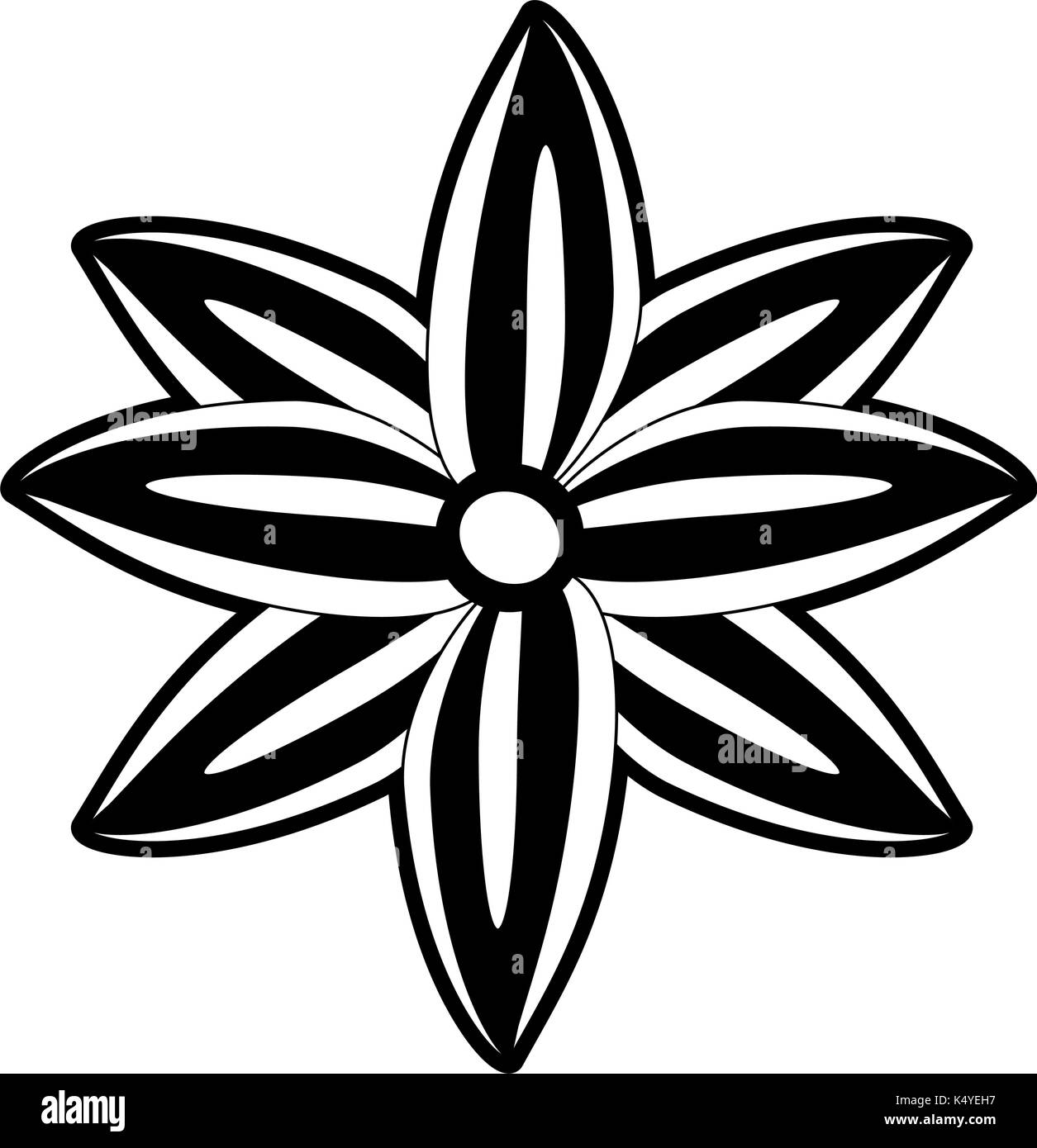anise star seed icon image Stock Vector Image & Art - Alamy