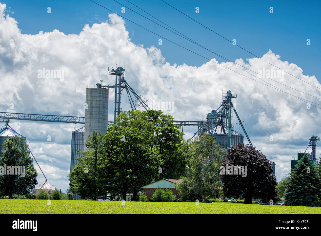 Agricultural company for storage and processing of grain crops Stock ...