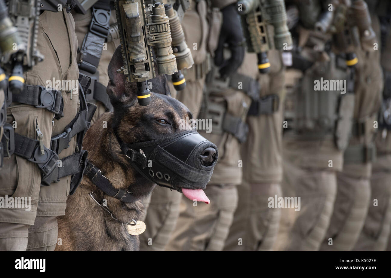 Police commando hi-res stock photography and images - Alamy