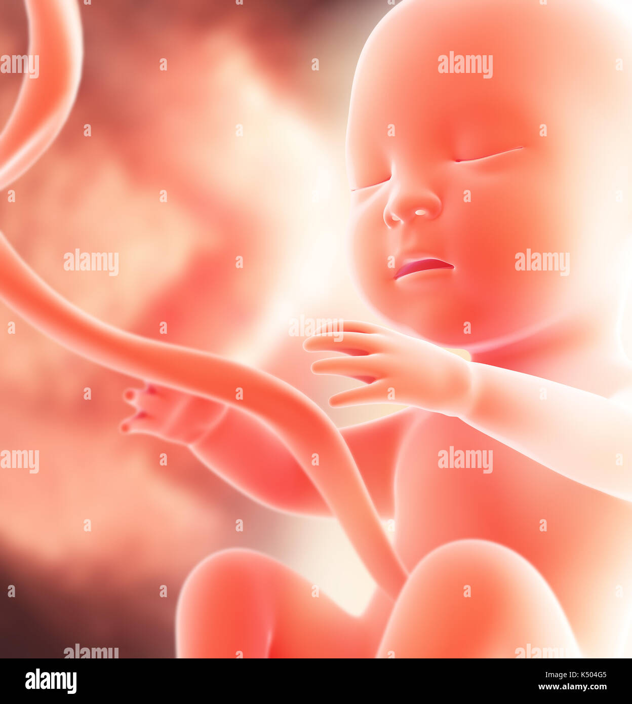 Human Fetus Medical concept Graphic and Scientific Background, 3d ...