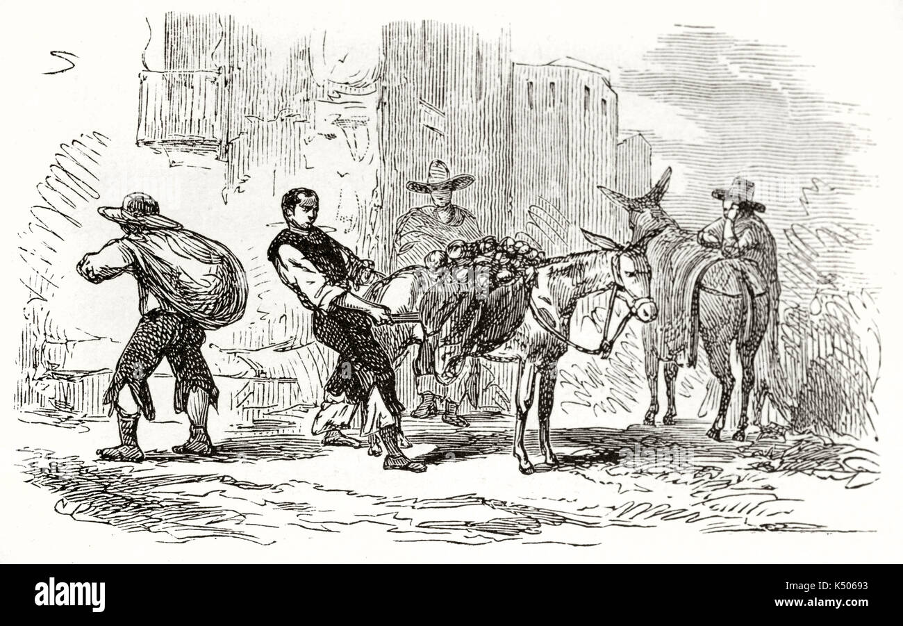 Old illustration of Mexican muleteer. Created by Riou and Salandre ...