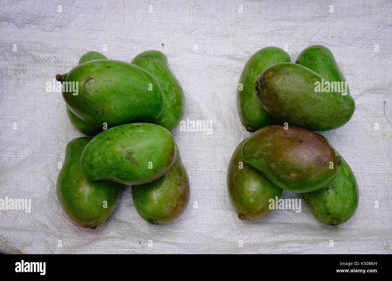 Mango fruits at rural market in Mauritius. Mauritius, an Indian Ocean ...