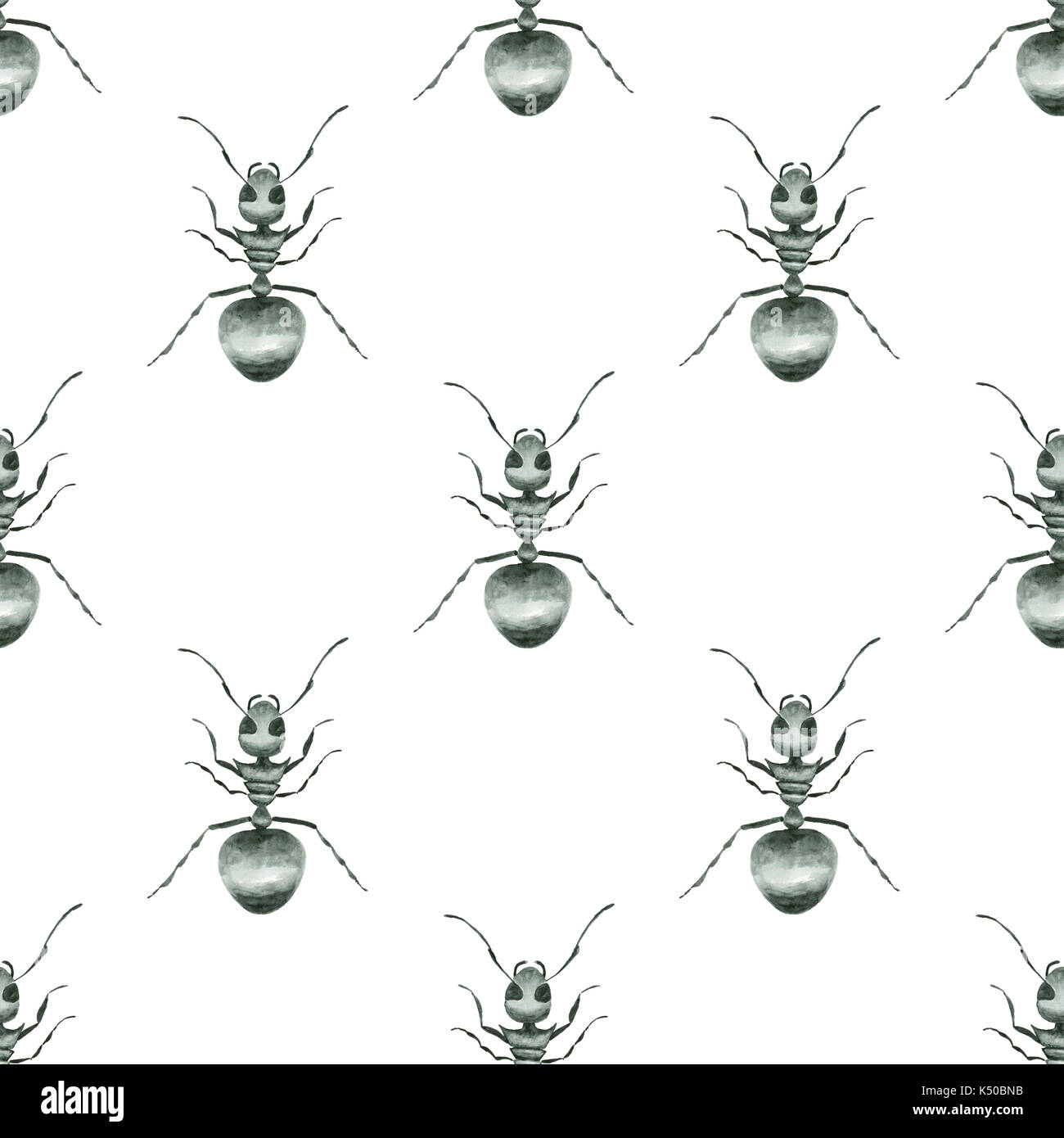 Seamless pattern from watercolor hand drawn ant isolated on white ...