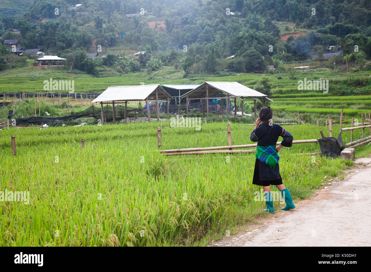 Ta pa rice fields, vietnam hi-res stock photography and images - Alamy