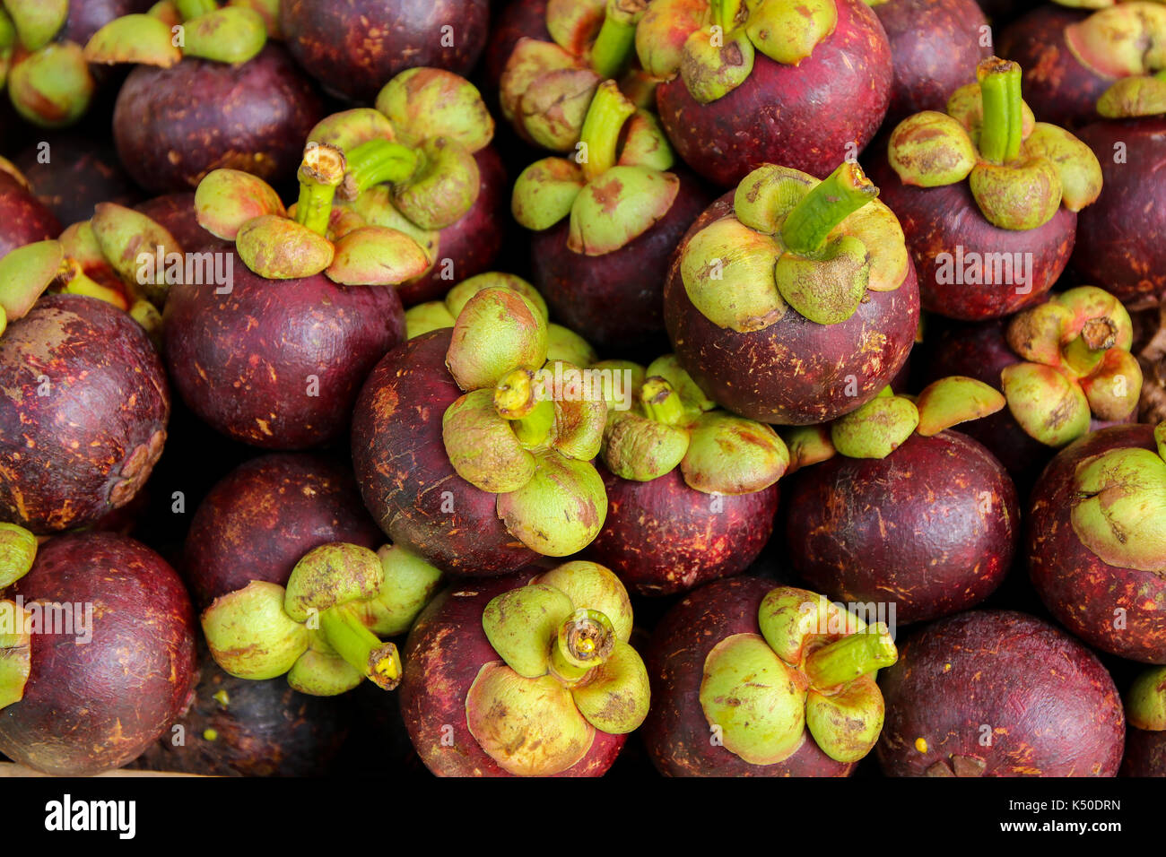 Group of Fresh mangosteen. (Queen of fruits Stock Photo - Alamy