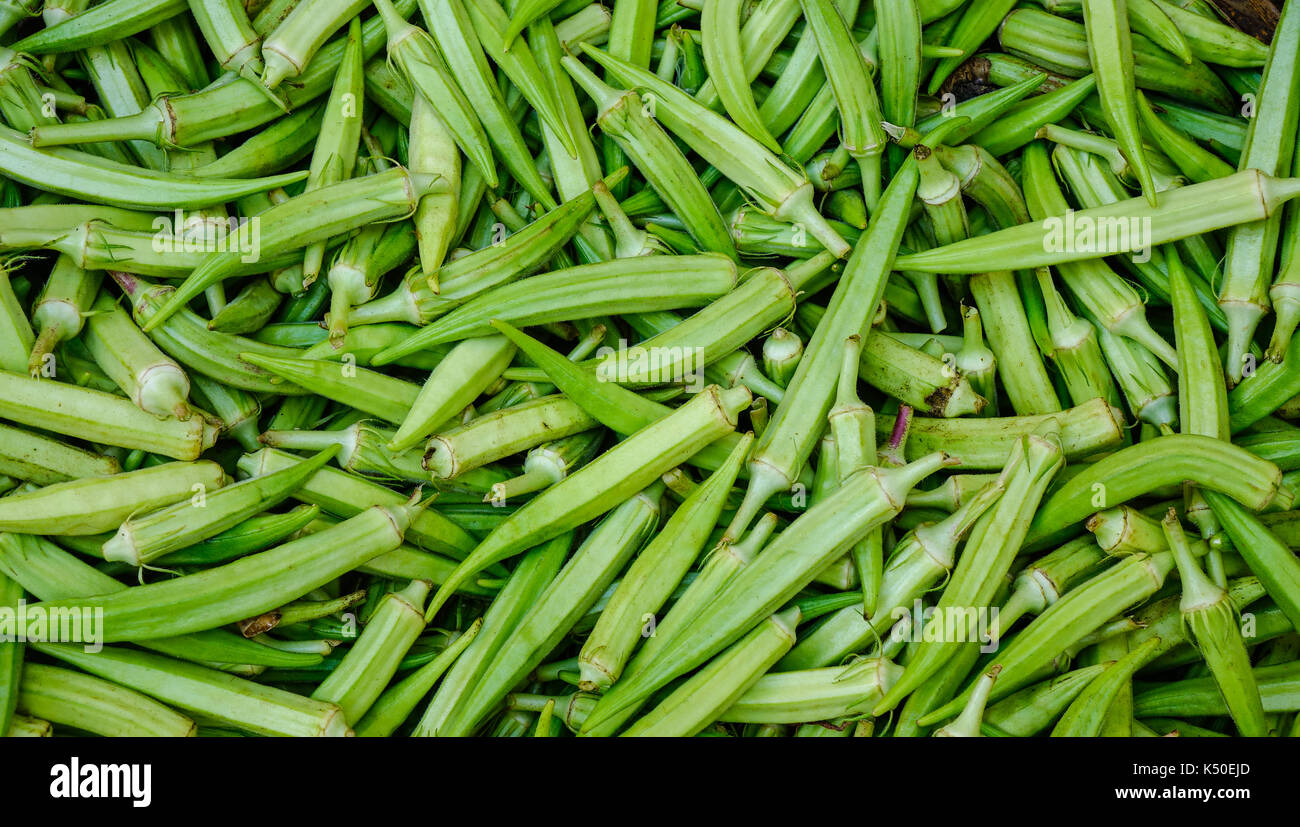 Fresh green okra at the farmer market in Mauritius Island Stock Photo ...