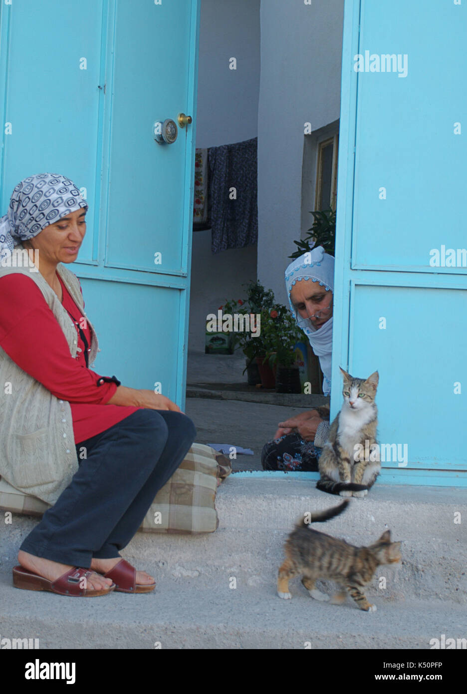 Women With Cats High Resolution Stock Photography and Images - Alamy