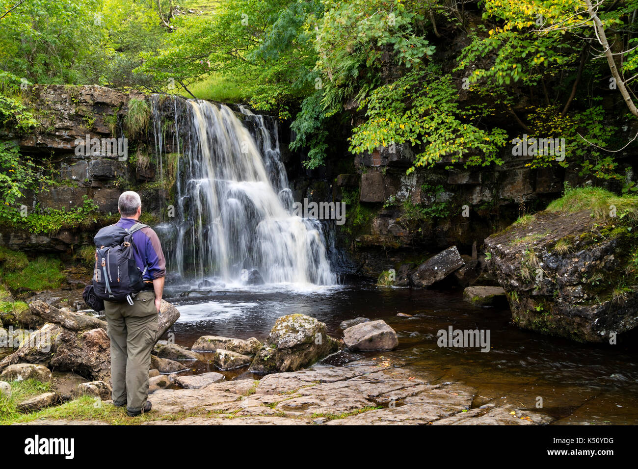 Walker Enjoying the Spectacle of East Gill Waterfall, Keld, Swaledale ...