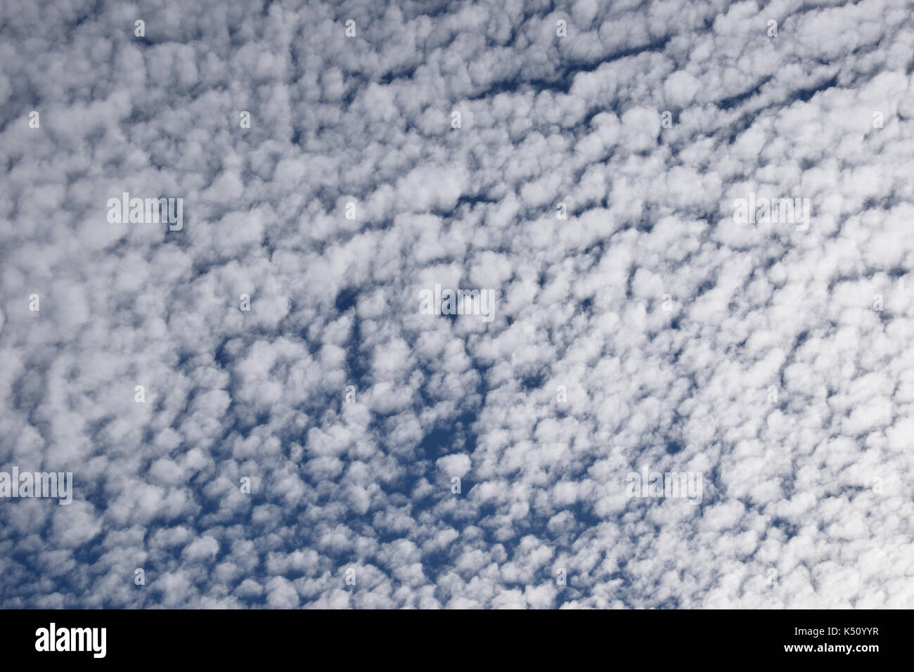 Fluffy white clouds of november hi-res stock photography and images - Alamy