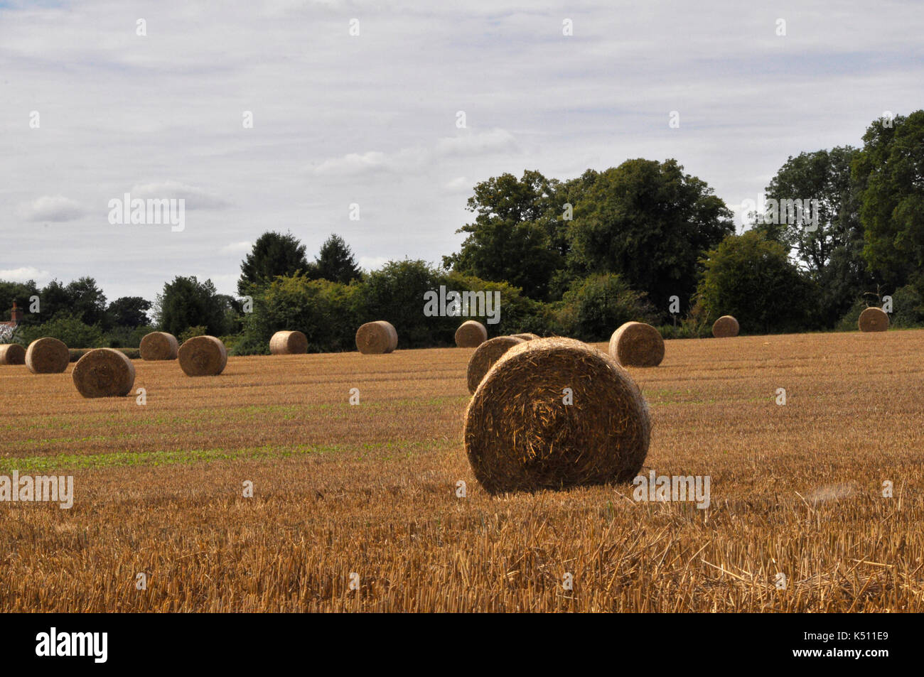 Suffolk bales hi-res stock photography and images - Alamy