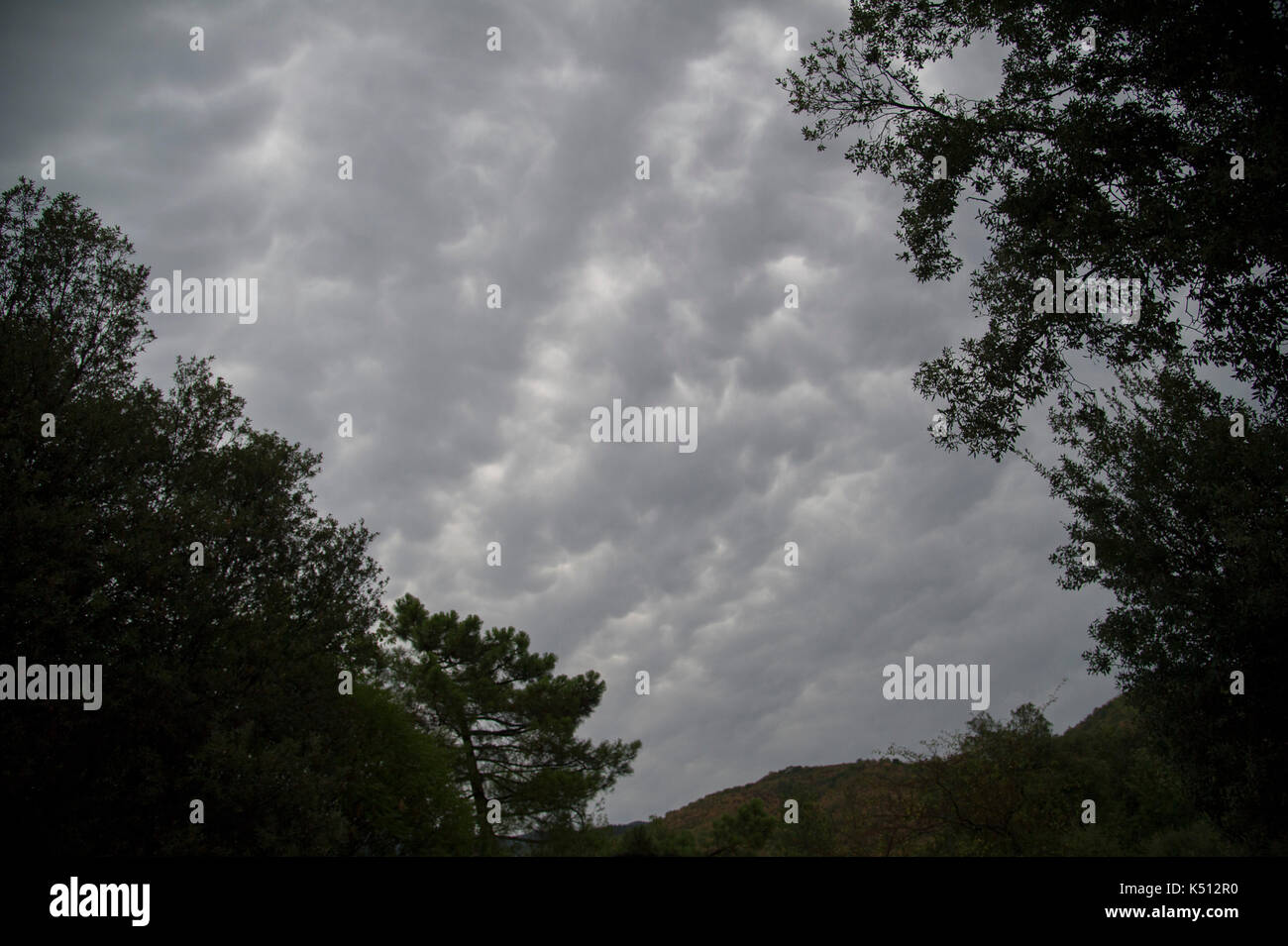 Stratocumulus stratiformis perlucidus clouds in Loro Cuffienna, Tuscany ...