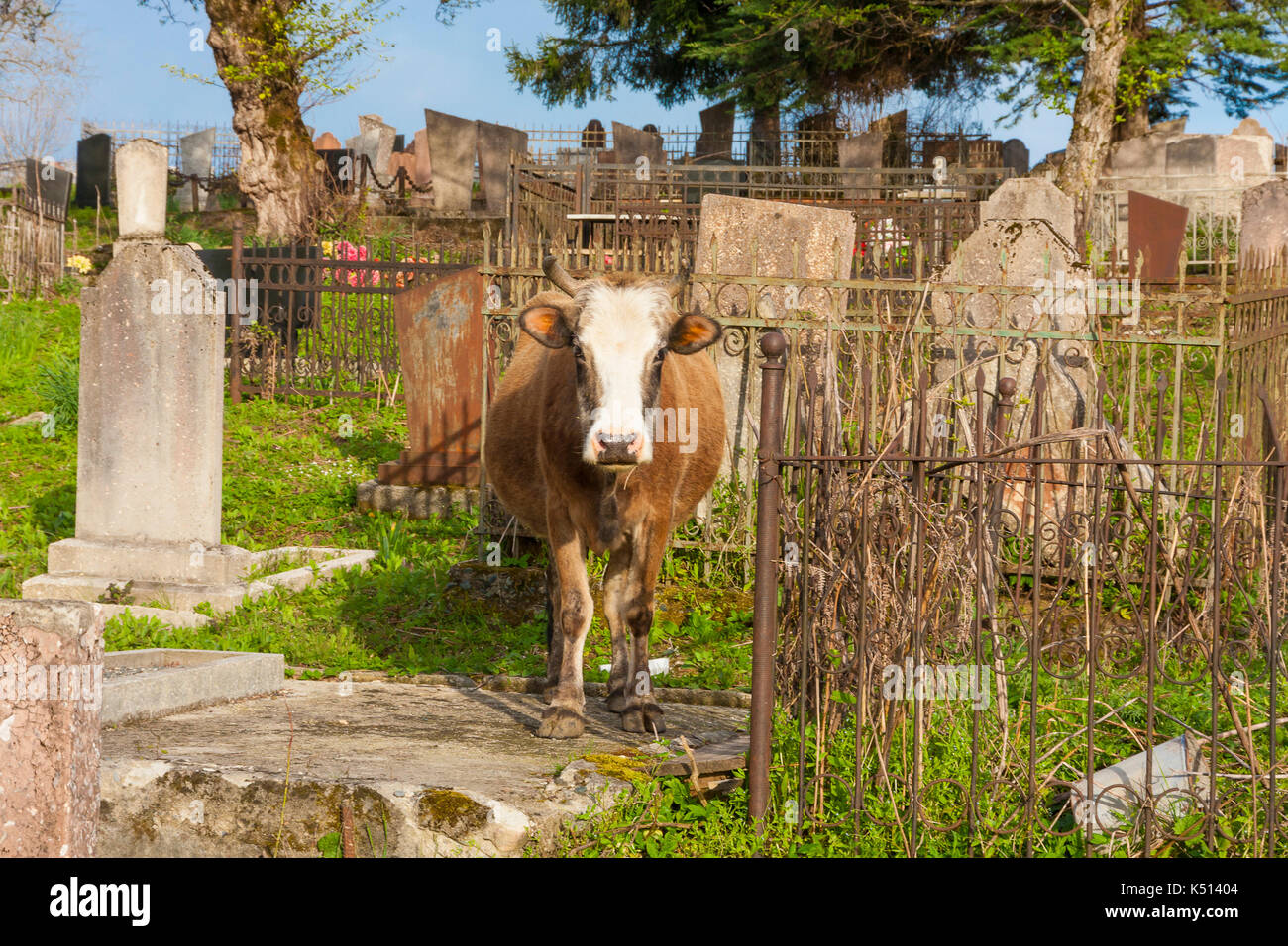 Abkhazia church hi-res stock photography and images - Alamy