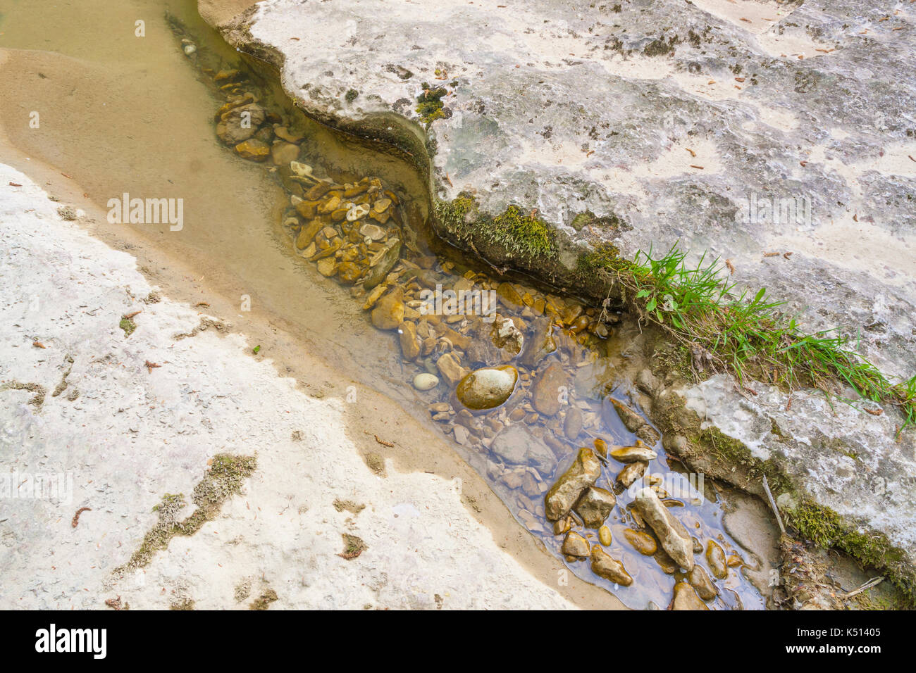 Water flowing over leaf hi-res stock photography and images - Alamy