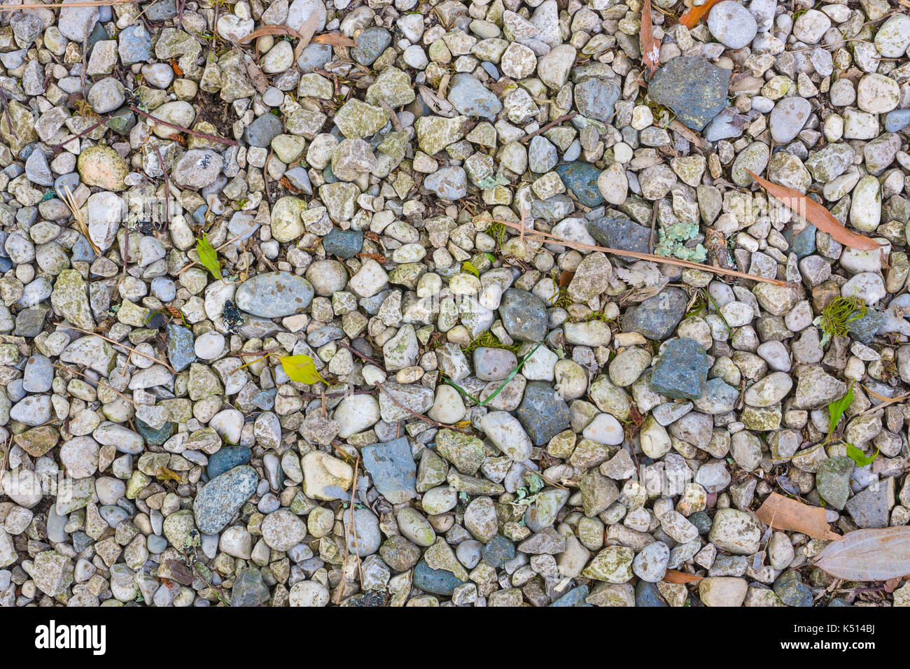 large gravel texture or background Stock Photo - Alamy