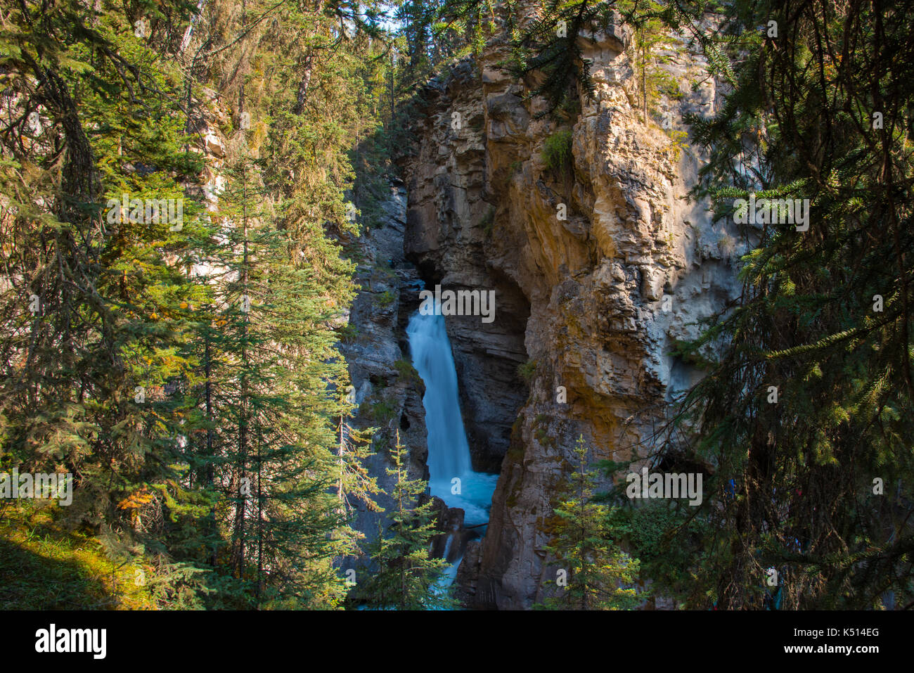 Johnston canyon in Banff National Park - Canada Stock Photo - Alamy