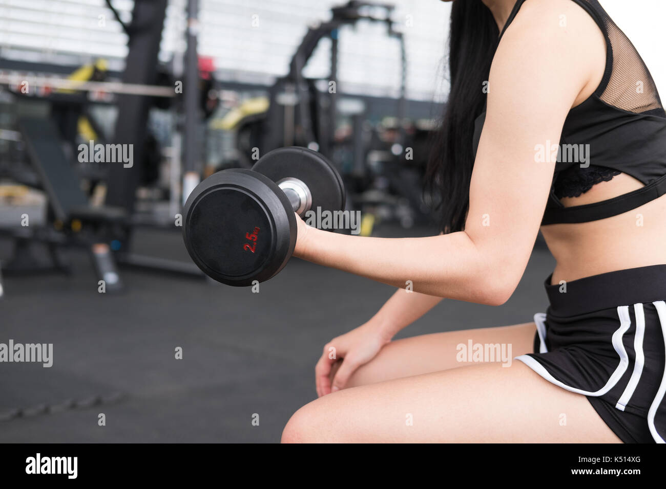 young woman execute exercise in fitness center. female athlete lift dumbbell in gym. sporty ...