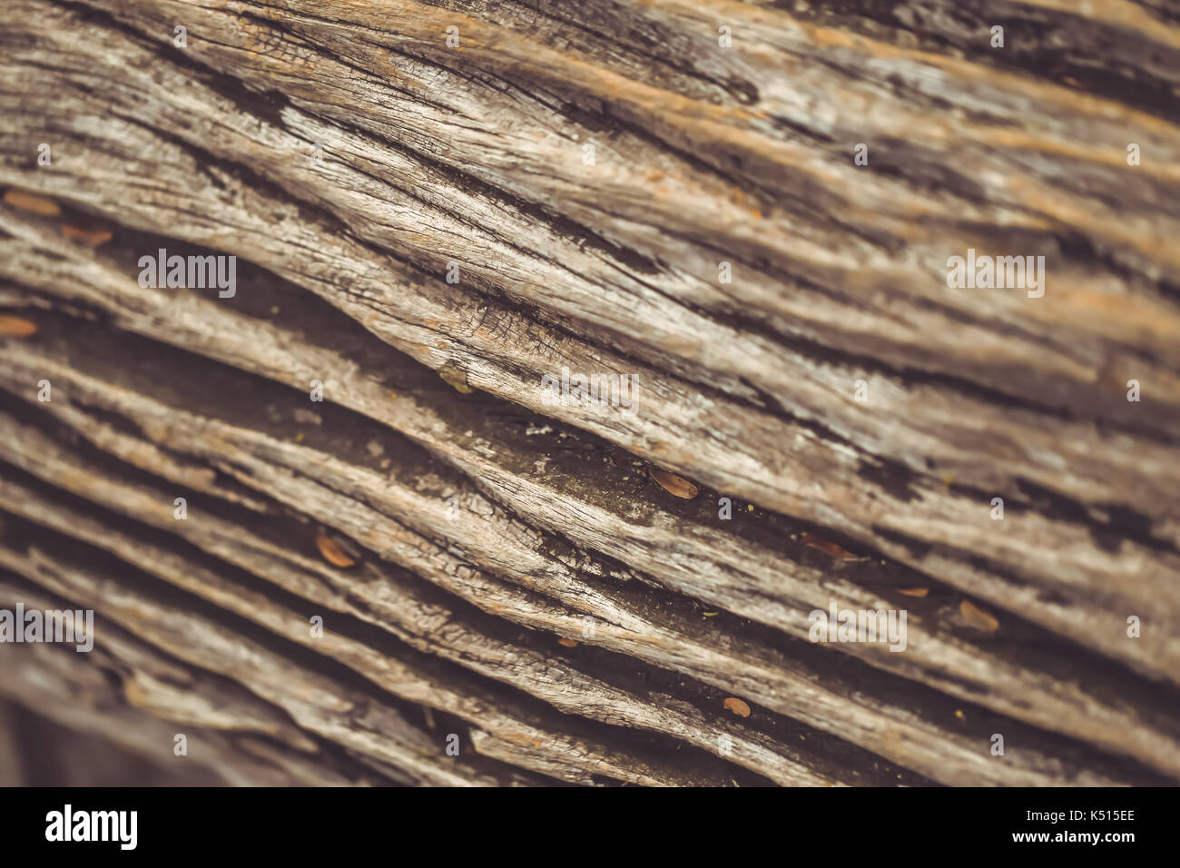 old wood tree texture pattern background vintage color tone Stock Photo ...