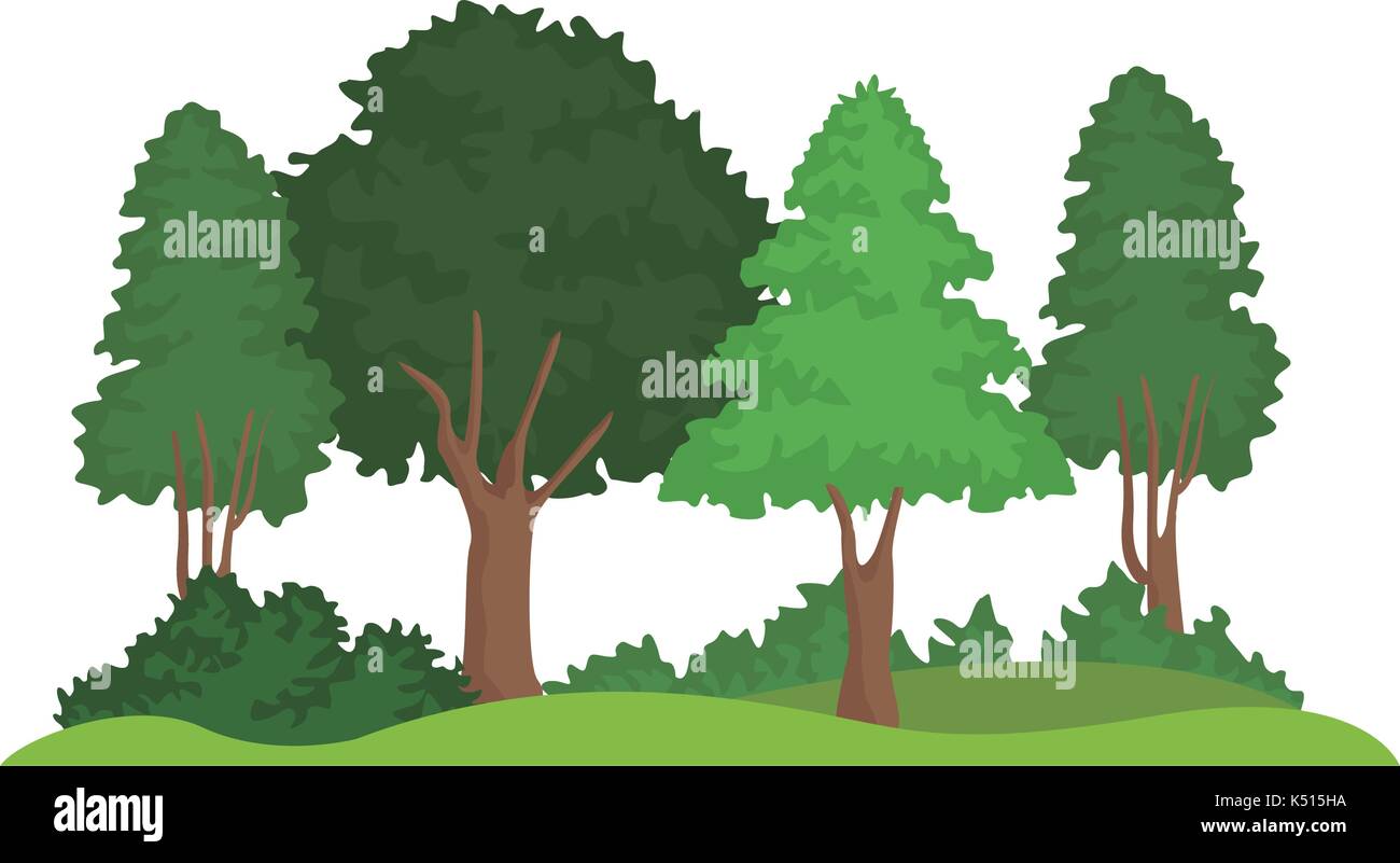 Beautiful forest landscape Stock Vector Image & Art - Alamy