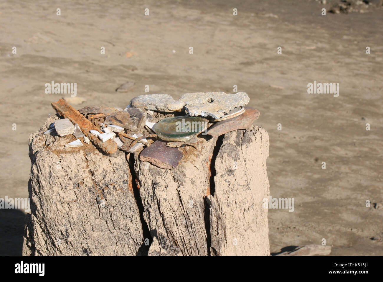 ARTIFACTS RESTING ON STUMP FOUND ON THE DRY BOTTOM OF FOLSOM LAKE ...