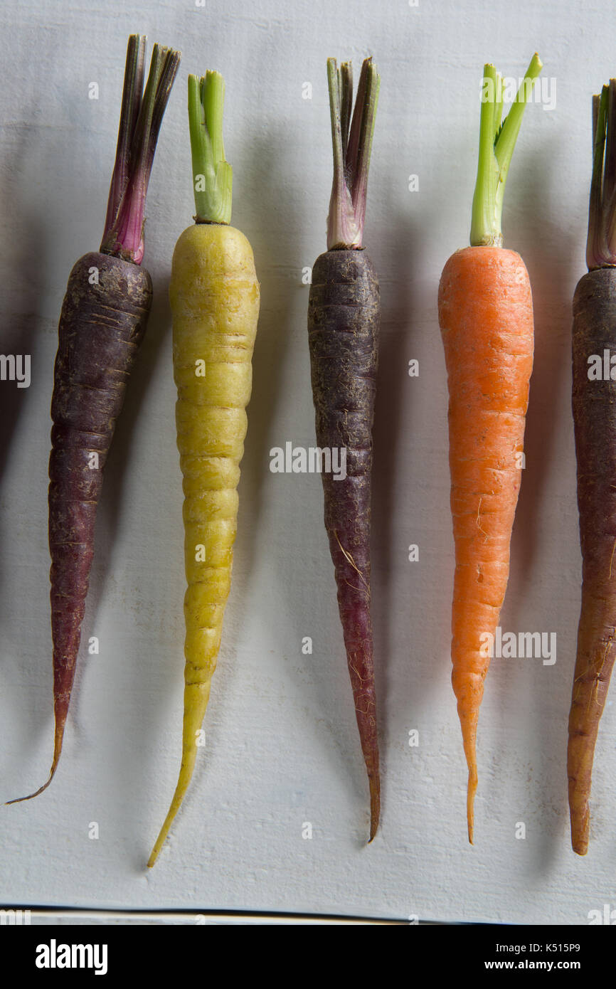 Overhead view of carrots arranged side by side on table Stock Photo - Alamy